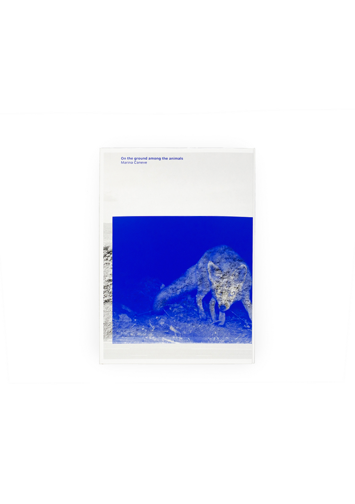 On the ground among the animals – Bungee Space by 3standardstoppage