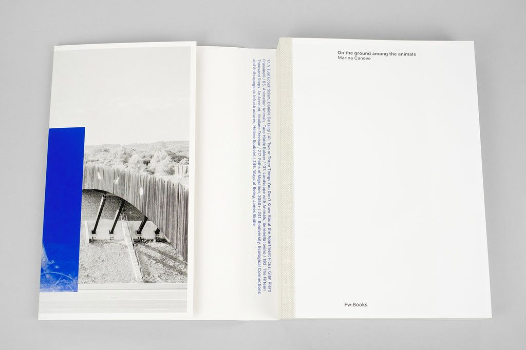 On the ground among the animals – Bungee Space by 3standardstoppage